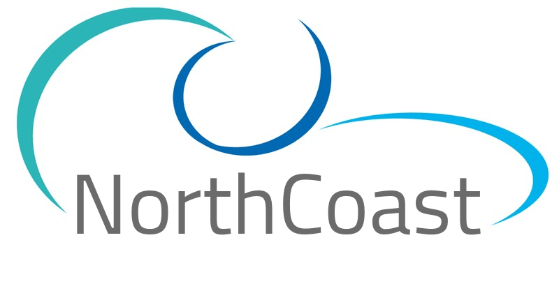 what-is-nsaw - NetSuite Analytics (NSAW) - NorthCoast Data