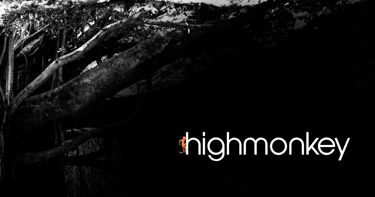 Why High Monkey?